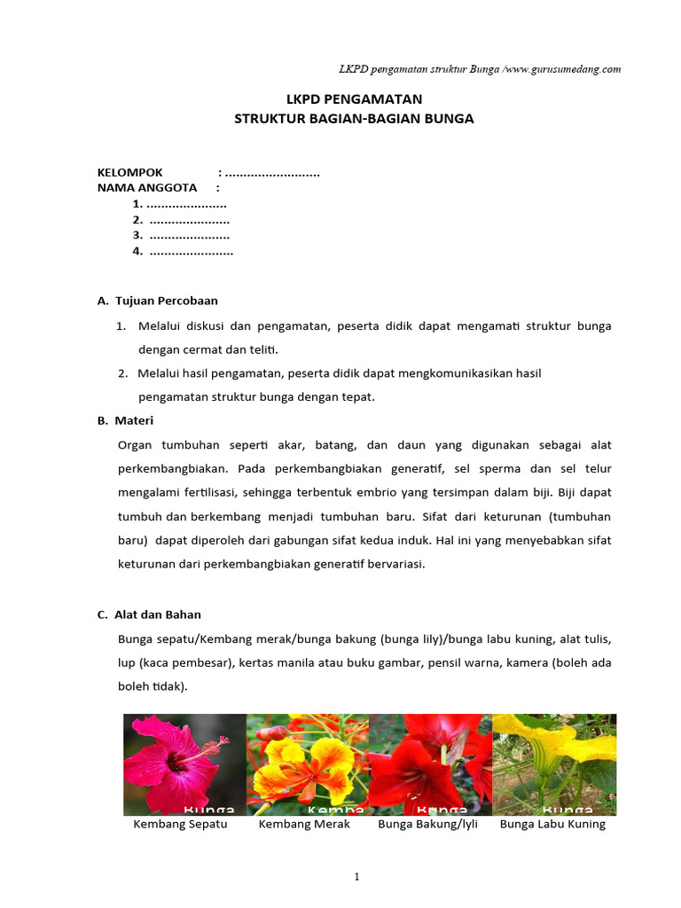 LKPD Struktur Bagian-Bagian Bunga | PDF