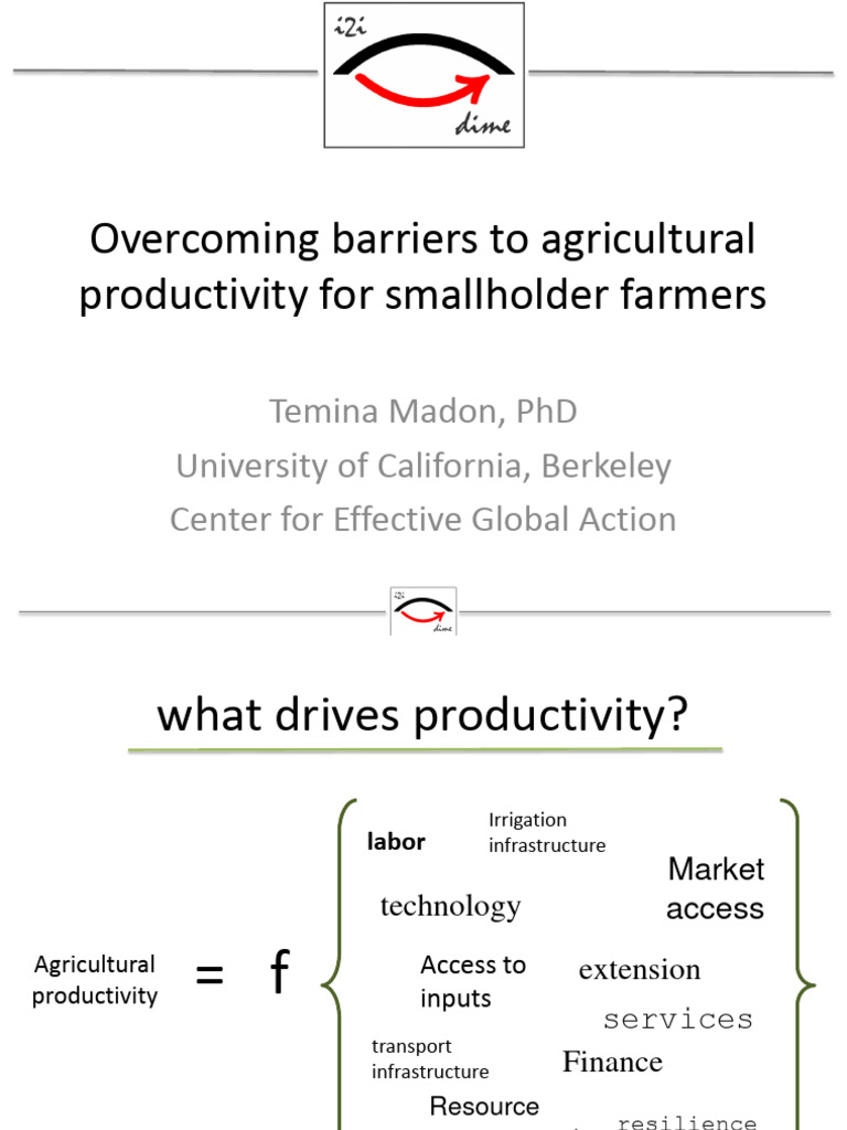 Identifying Constraints To Agricultural Productivity | PDF Identifying Constraints To Agricultural Productivity | PDF