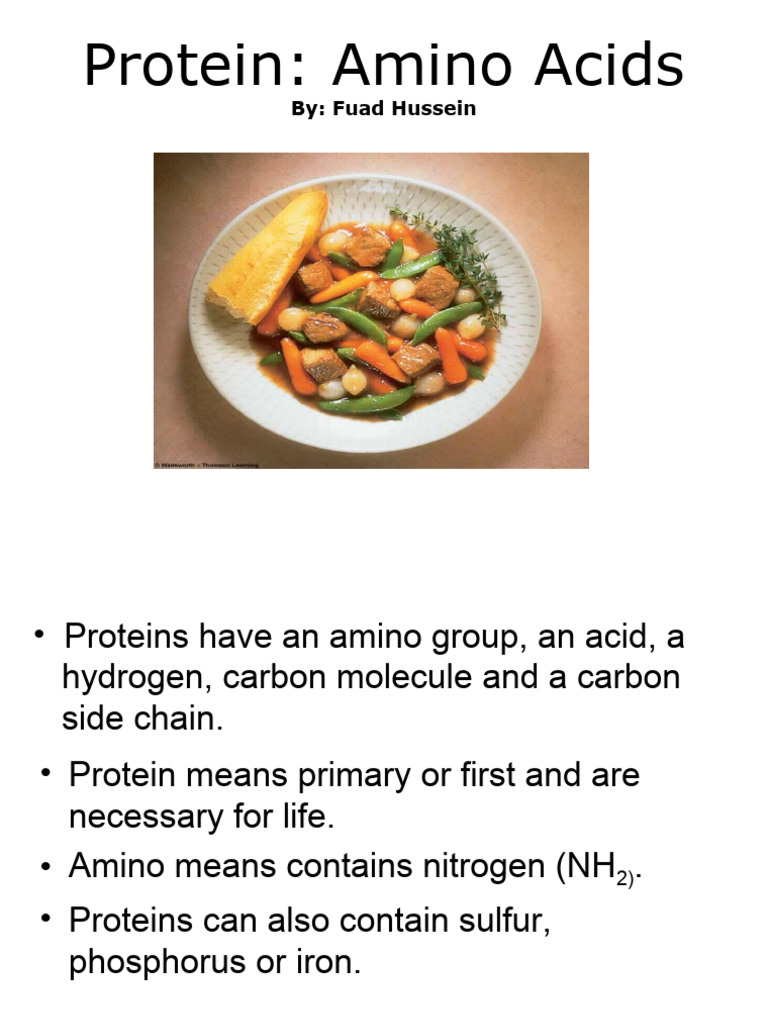 Protein | PDF | Amino Acid | Proteins