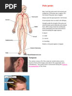 9 Common Pulse Points in Nursing | PDF | Pulse | Arm