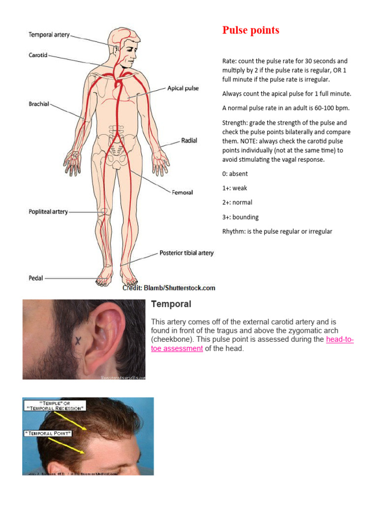 Pulse Points | PDF | Pulse | Ankle