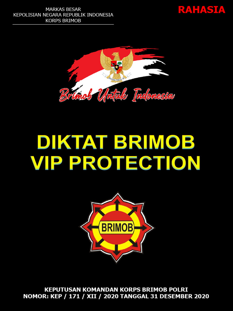 Diktat Vip Protection | PDF