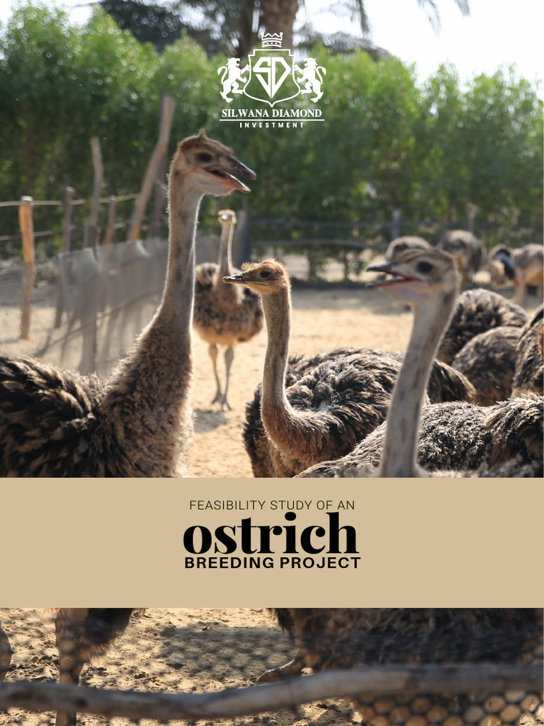 Ostrich: Breeding Project | PDF | Meat | Birds
