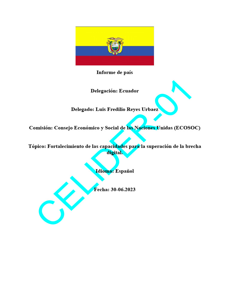 Ejemplo de Informe | PDF