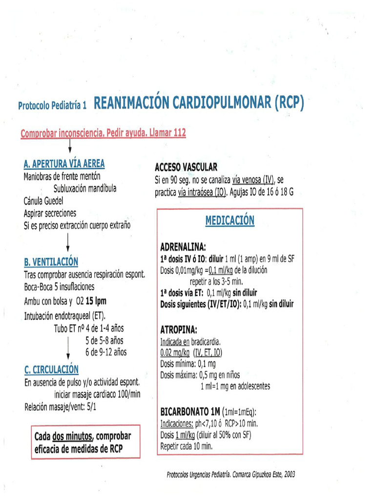 Reanimacion Cardiopulmonar | PDF