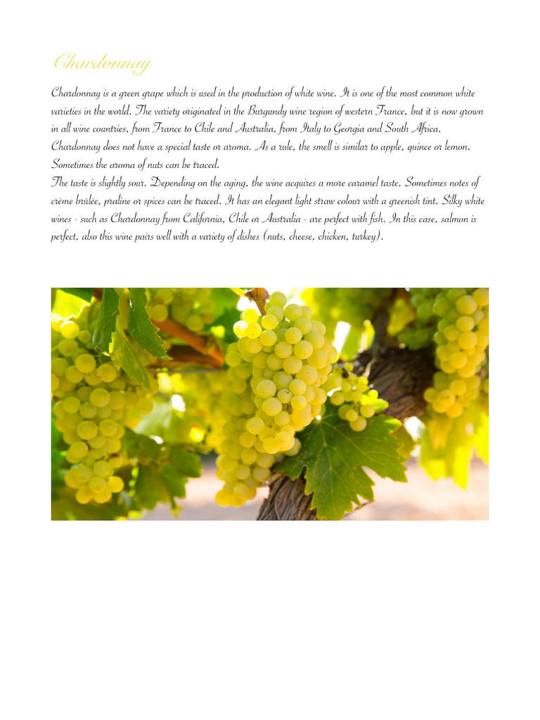 White Grapes | PDF | Aroma Of Wine | Wine