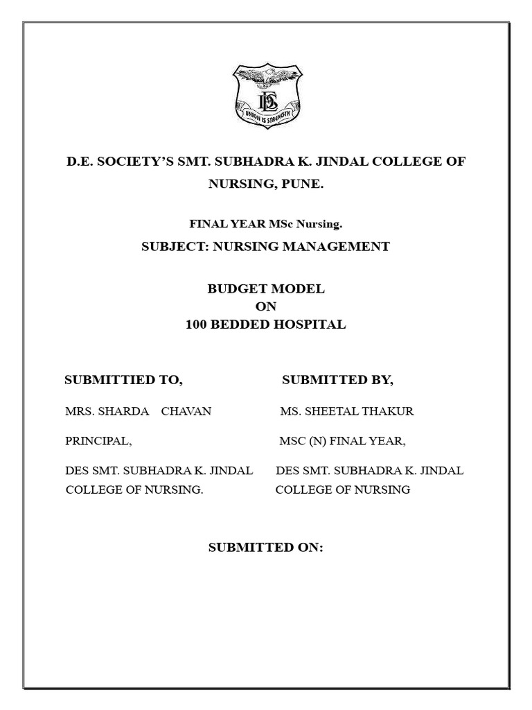 Budget Model Final | PDF | Budget | Nursing