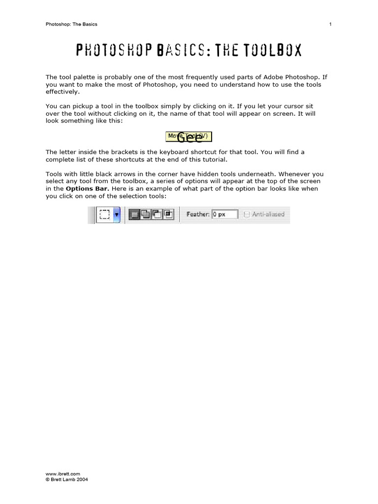Photoshop Basics | PDF