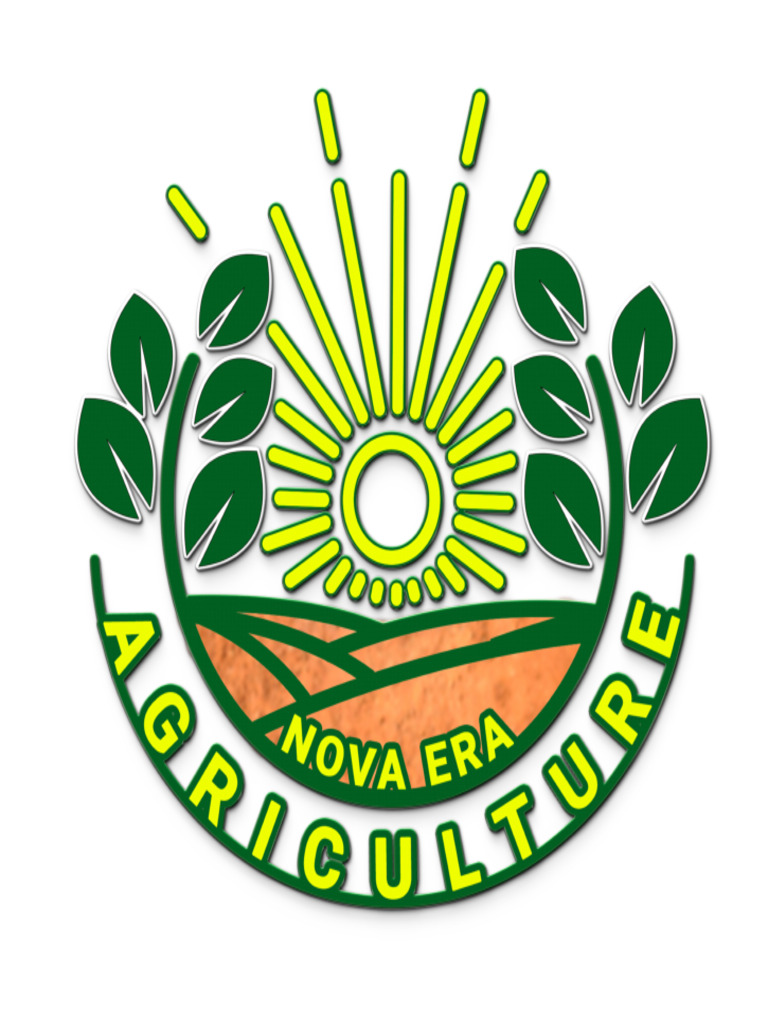 Logo Nova Era | PDF