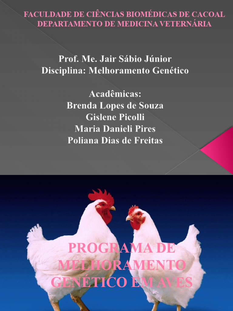 Programa de Melhoramento Genético em Aves | PDF | Genética | Frango