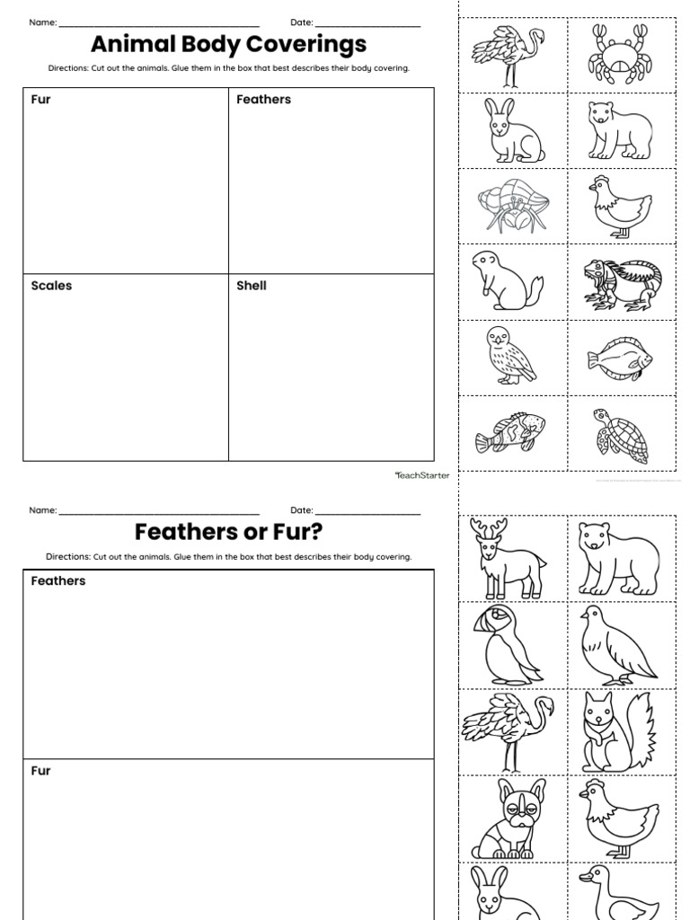 Animals With Scales Fur Shellsand Feathers Worksheet Pack Printable PDF ...
