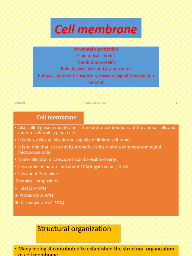 Cell Membrane Pdf Cell Membrane Lipid Bilayer