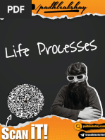 Life Processes Class 10th | PDF
