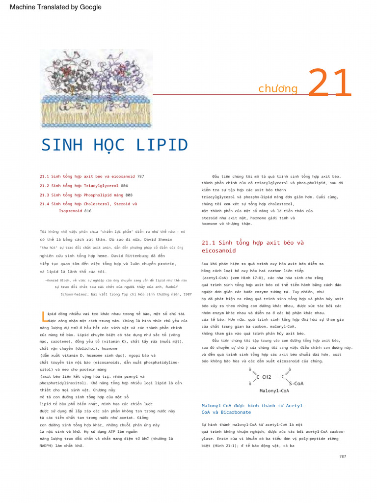 Lipid Biosynthesis | PDF