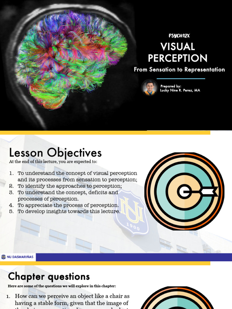 Cogni 3 | PDF | Perception | Top Down And Bottom Up Design
