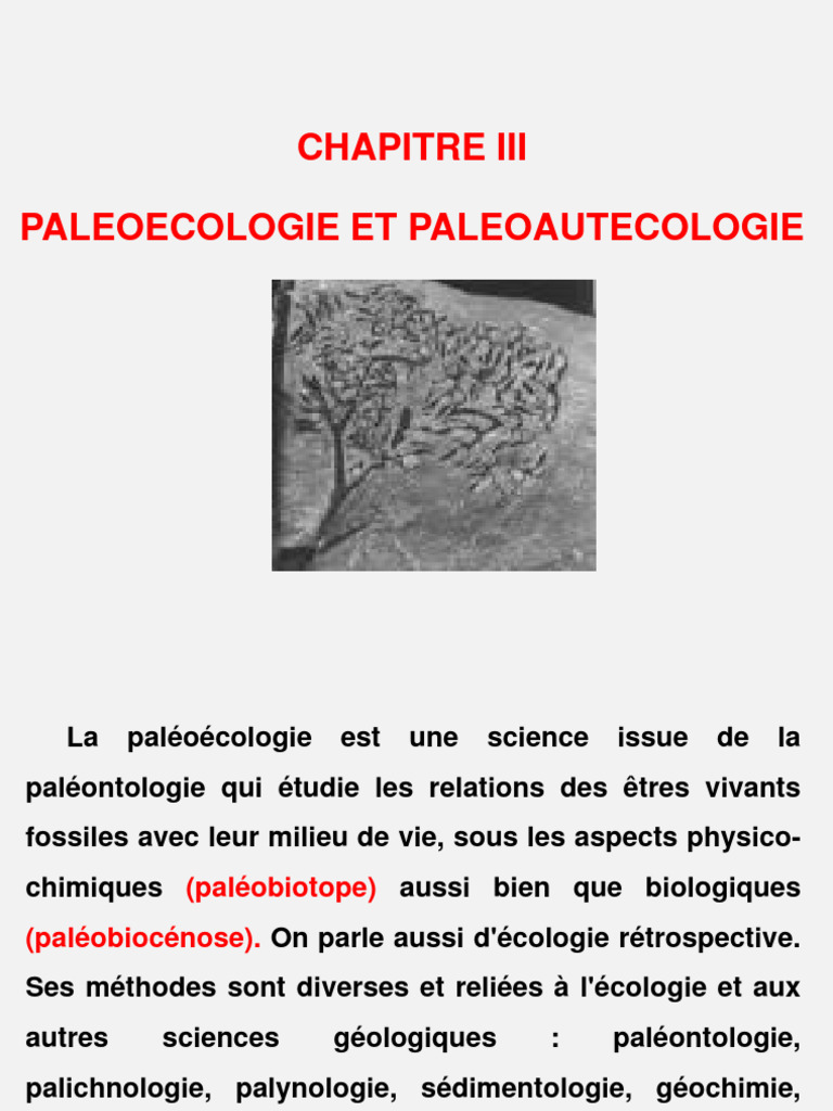 Cours G233 Partie1 Ch3 PR Charroud | PDF | Sciences sociales