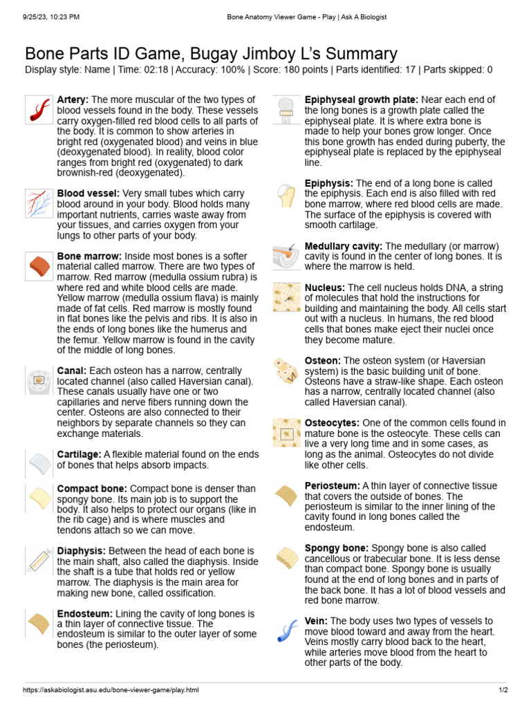 Bone Anatomy Viewer Game - Play - Ask A Biologist | PDF