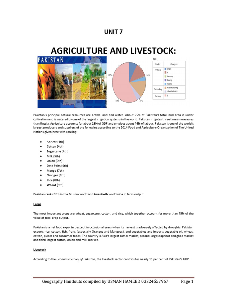 Agriculture Geography O Levels - Usman Hameed | PDF | Agriculture | Rice