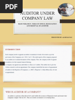 RBA Auditor Guide Book | PDF | Audit | Auditor's Report