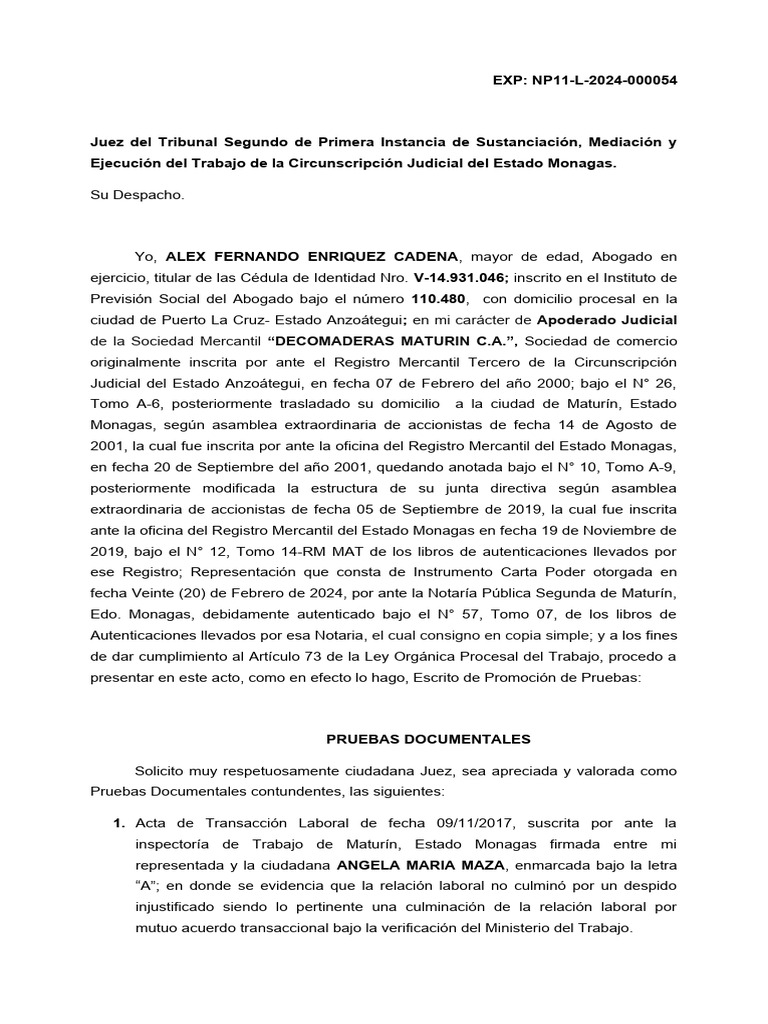 Promoción de Pruebas Documentales | PDF | Gobierno | Justicia