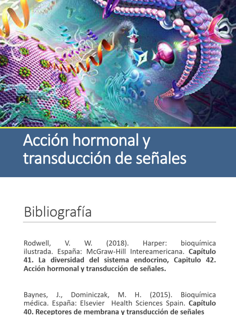 4 Accion Hormonal Transduccion Senales | PDF | Transducción de señales ...
