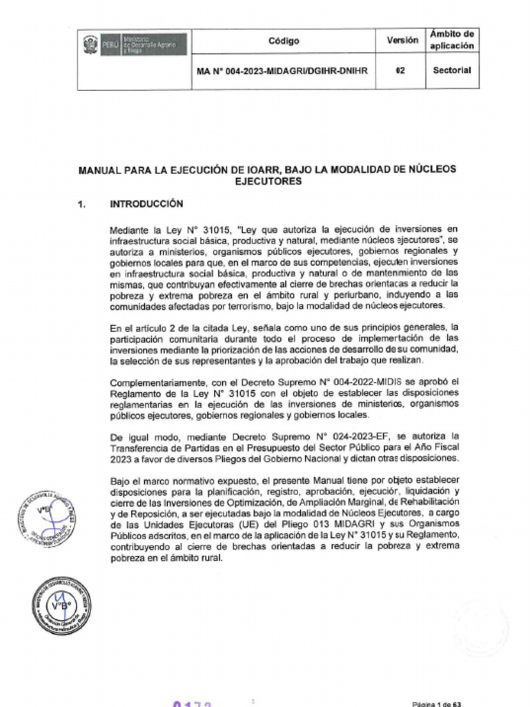 Manual Ejecución IOARR | PDF