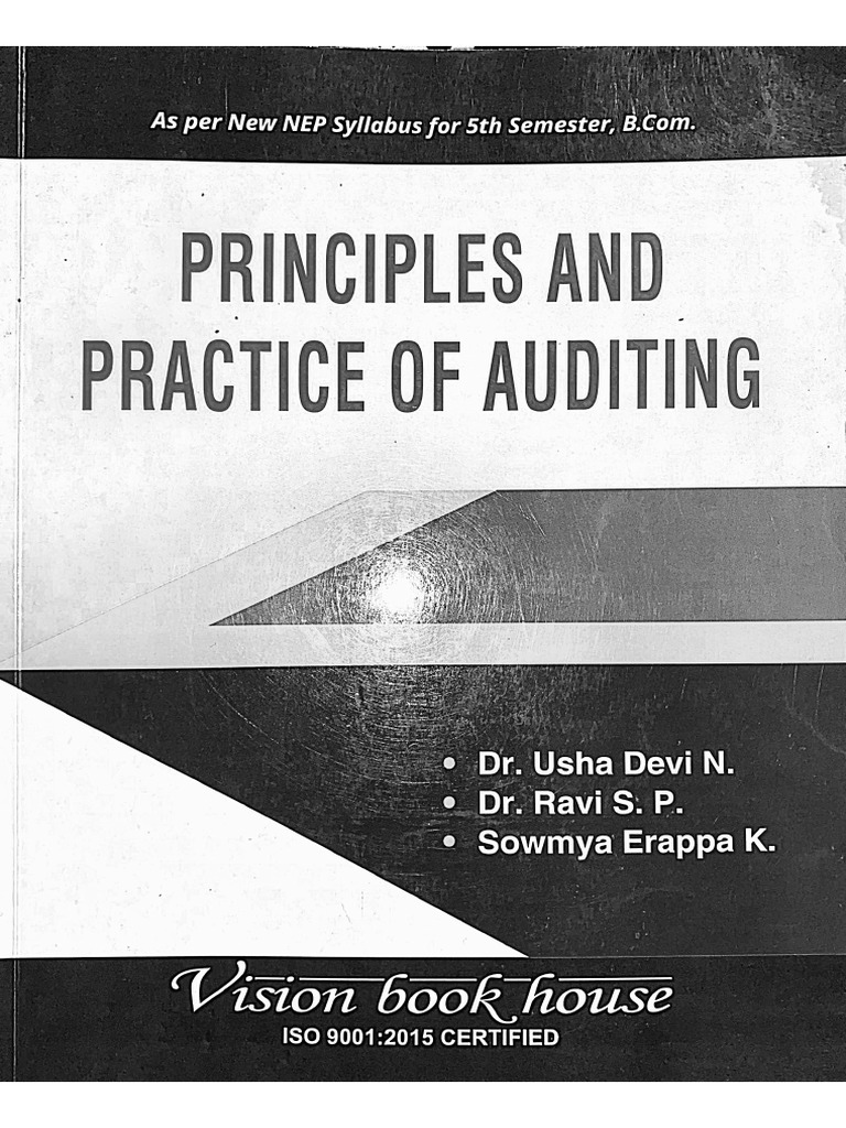 PP Auditing Vision | PDF