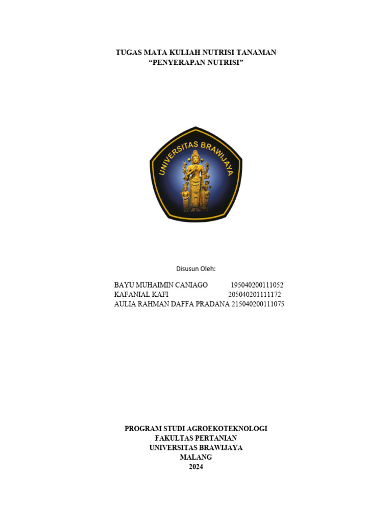 Penyerapan Nutrisi Tanaman Secara Efektif | PDF