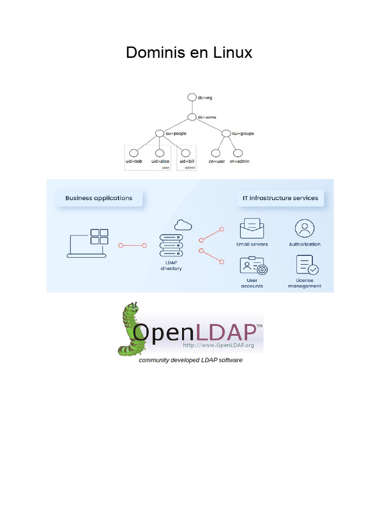 UF2 08 LDAP (I) Instal Lació | PDF