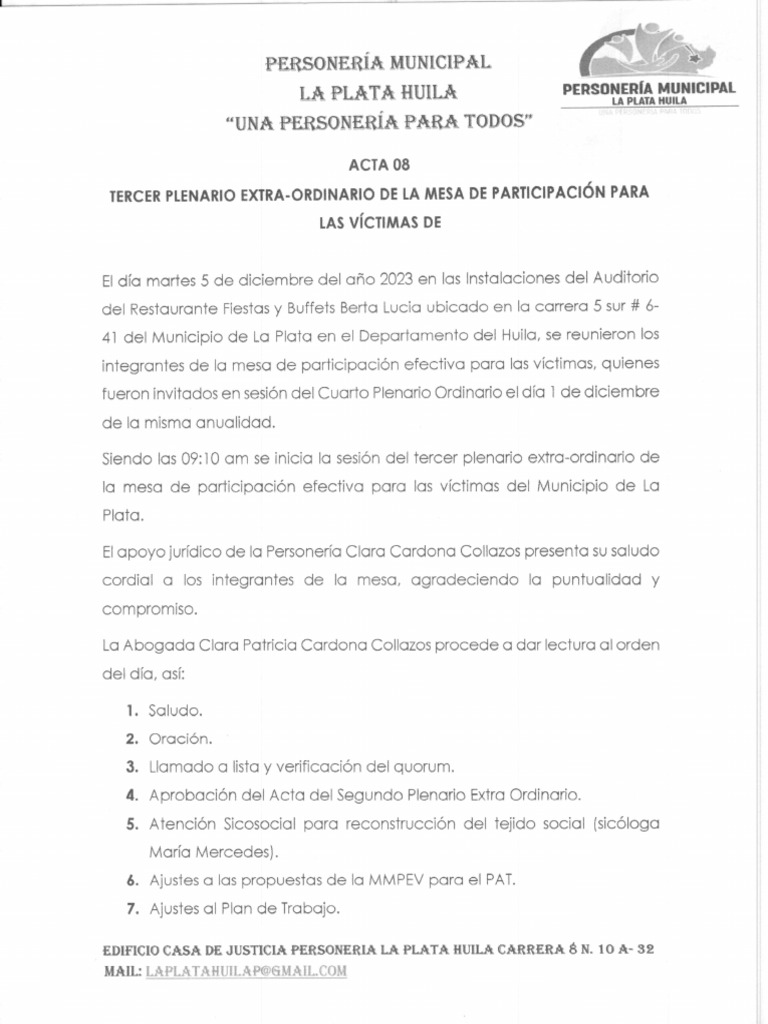 Acta # 8 Tercer Plenario Extra-Ordinario de La Mmpev | PDF