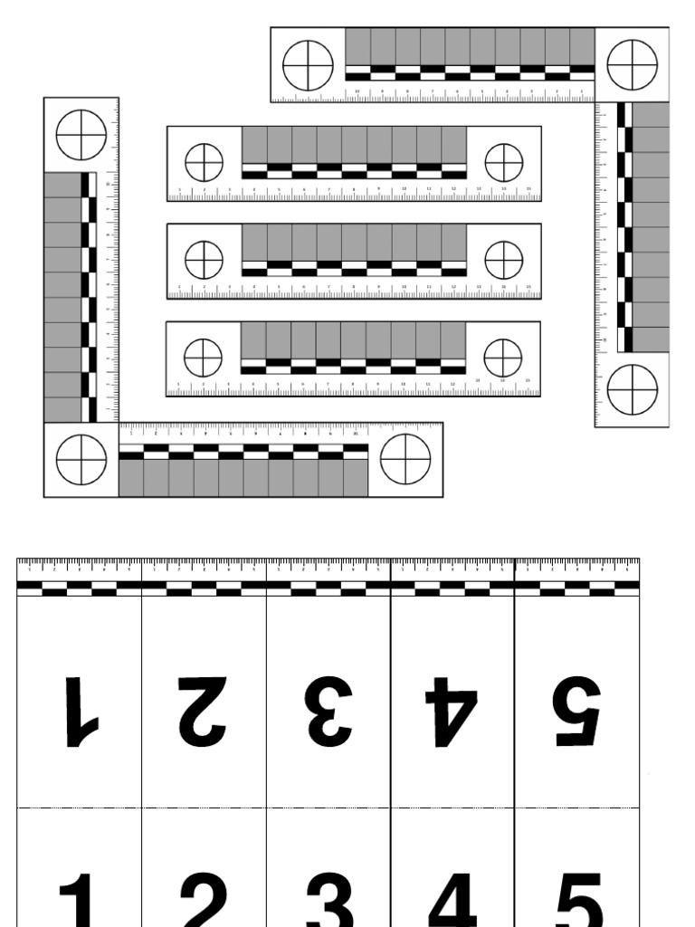 Testigos Métricos | PDF