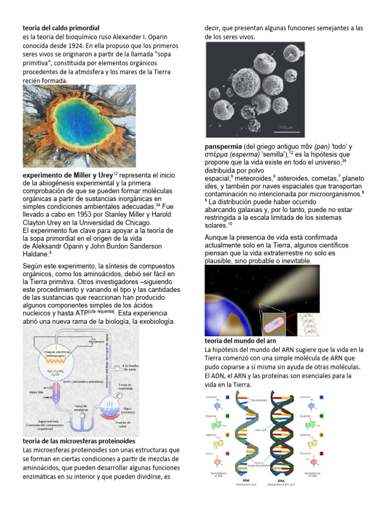Teoria Del Caldo Primordial | PDF