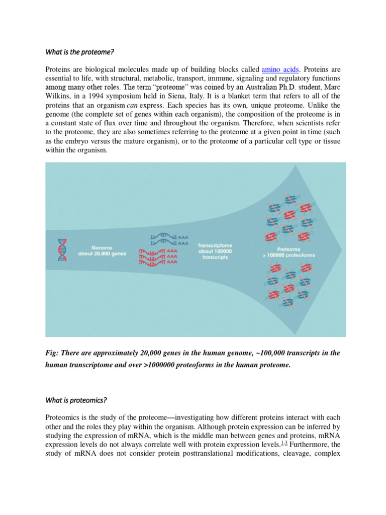 MBT31 - Proteomics Notes | PDF | Gel Electrophoresis | Mass Spectrometry