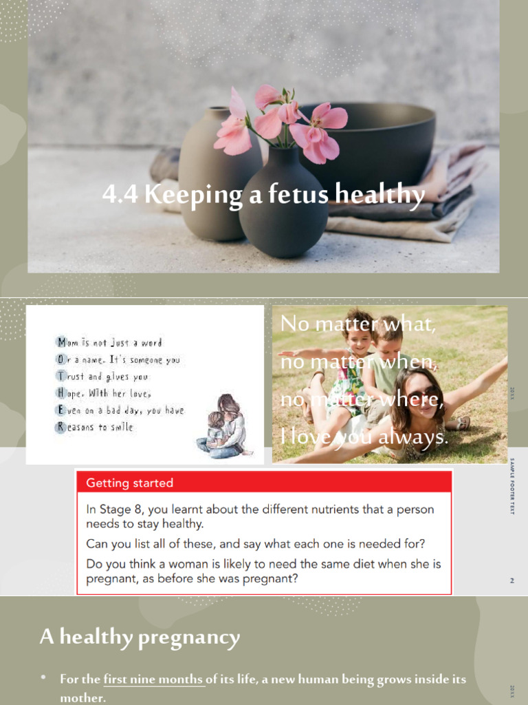 4.4 Keeping A Fetus Healthy | PDF