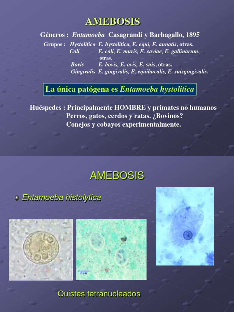 AMEBAS | PDF | Especialidades Medicas | Medicina CLINICA