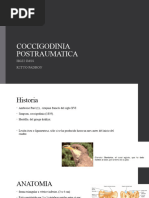 Radiografía de Fractura de Coxis | PDF | Sistema musculoesquelético