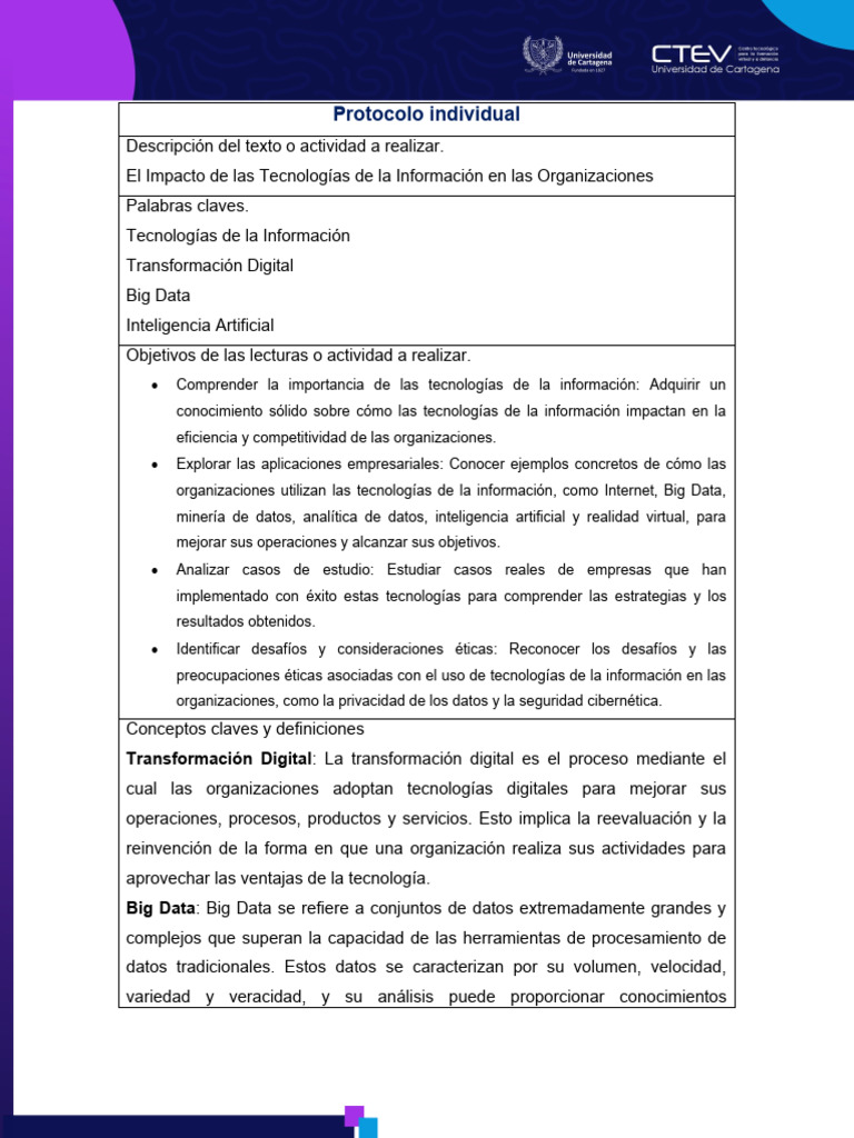 Plantilla Protocolo Individual | PDF