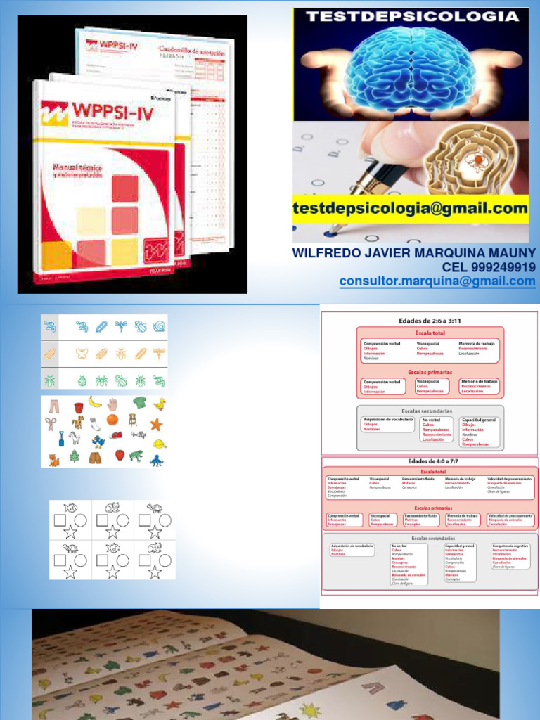 Wppsi Iv Ficha Técnica | Descargar gratis PDF | Inteligencia | Desorden ...
