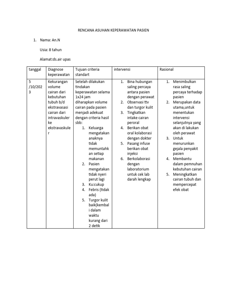 Rencana Asuhan Keperawatan Anak dan Dewasa | PDF