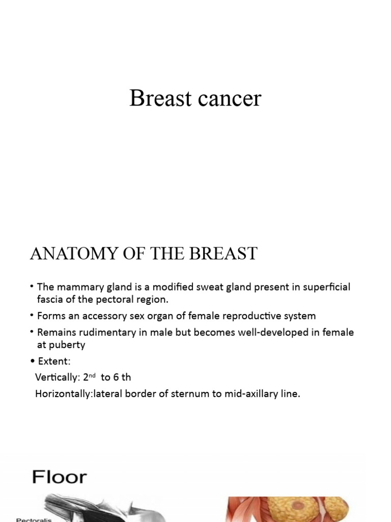 Breast Cancer | PDF | Breast Cancer | Cancer