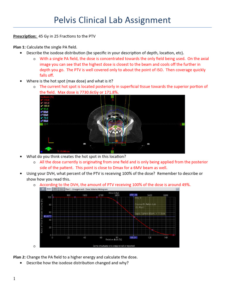 Pelvis Lab Pdf