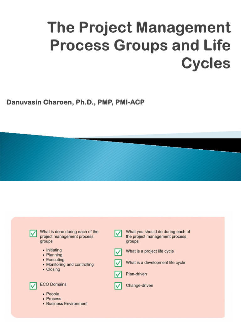 Project Process Group | Download Free PDF | Project Management | Business