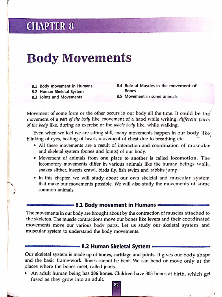 Body Movements | PDF