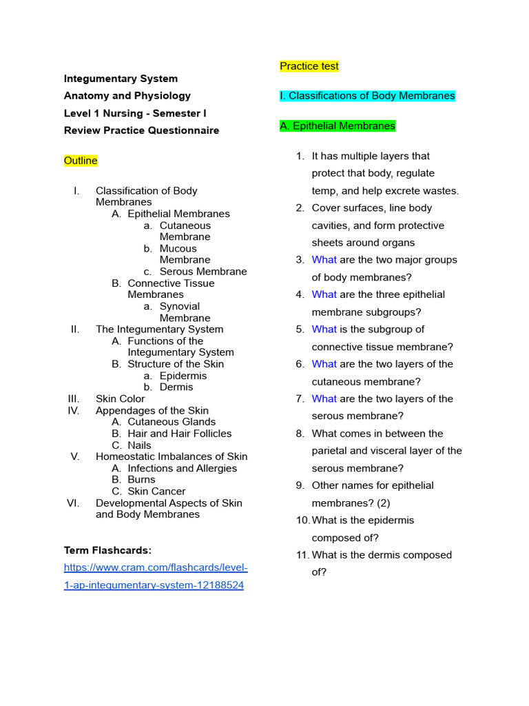 A P Integumentary System Download Free Pdf Skin Integumentary