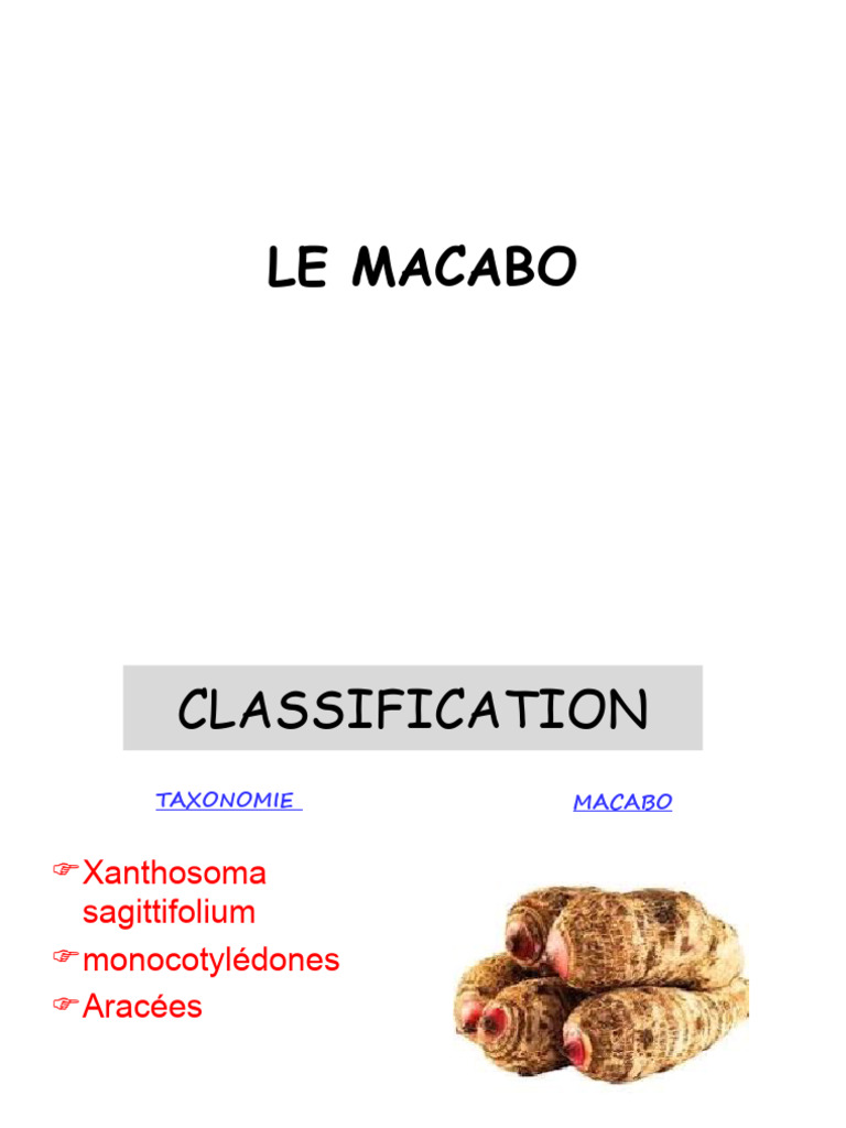 Culture Du Macabo | PDF | Fertilisant | Maïs