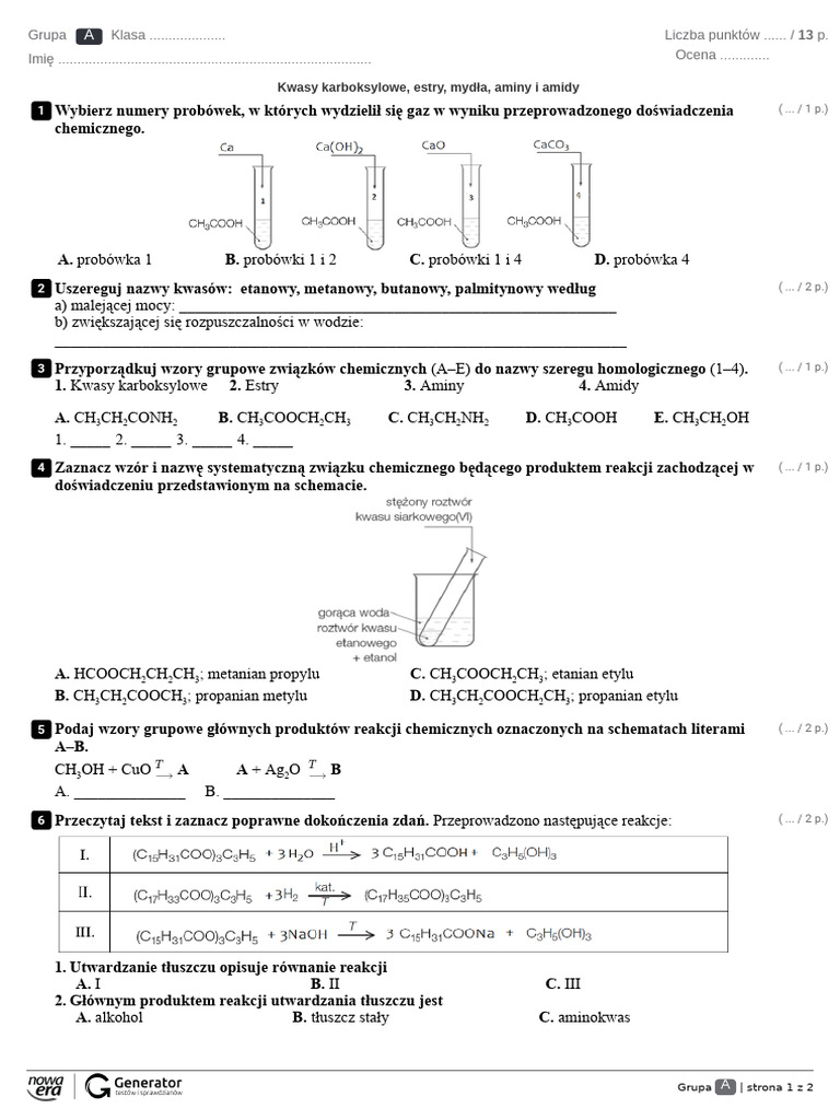 Kwasy Karboksylowe Estry Myda Aminy I Amidy Test Z Widoczna Punktacja | PDF