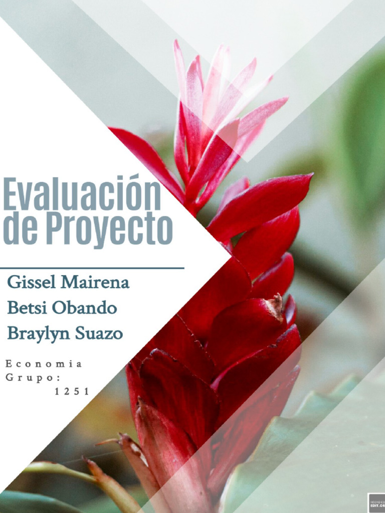 Analisis de Proyecto | PDF
