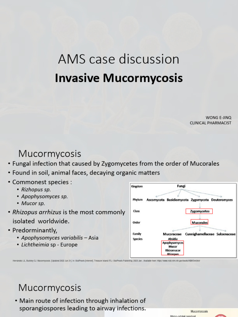 AMS Case Discussion | PDF