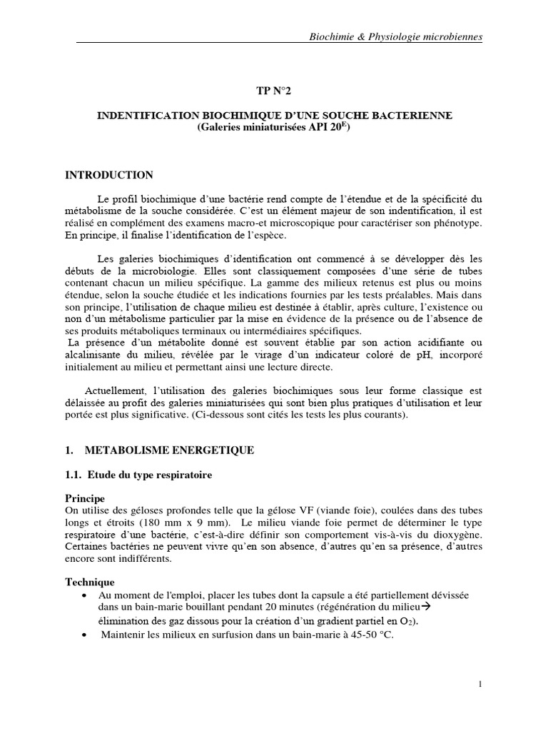 TP 2 Topo-Galerie Api20E | PDF