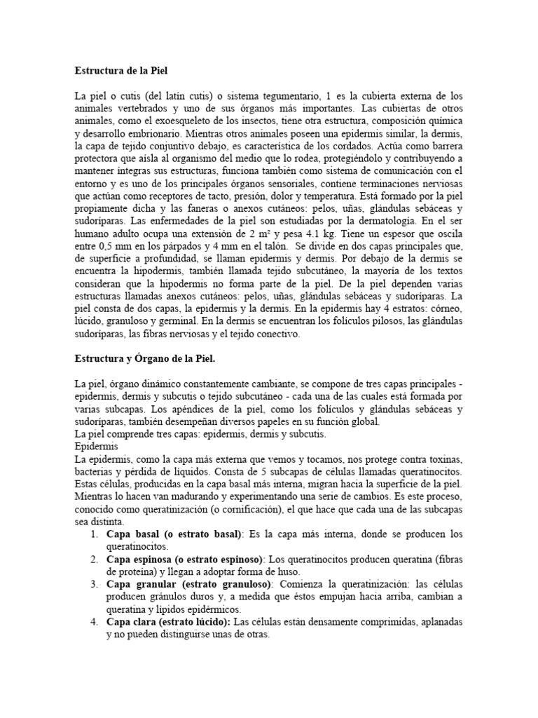 Estructura y Función de la Piel | PDF | Piel | Morfología (biología)
